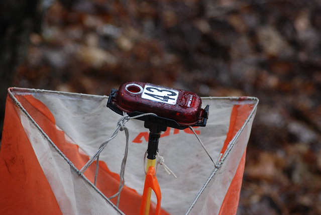 Beginner | Better Orienteering