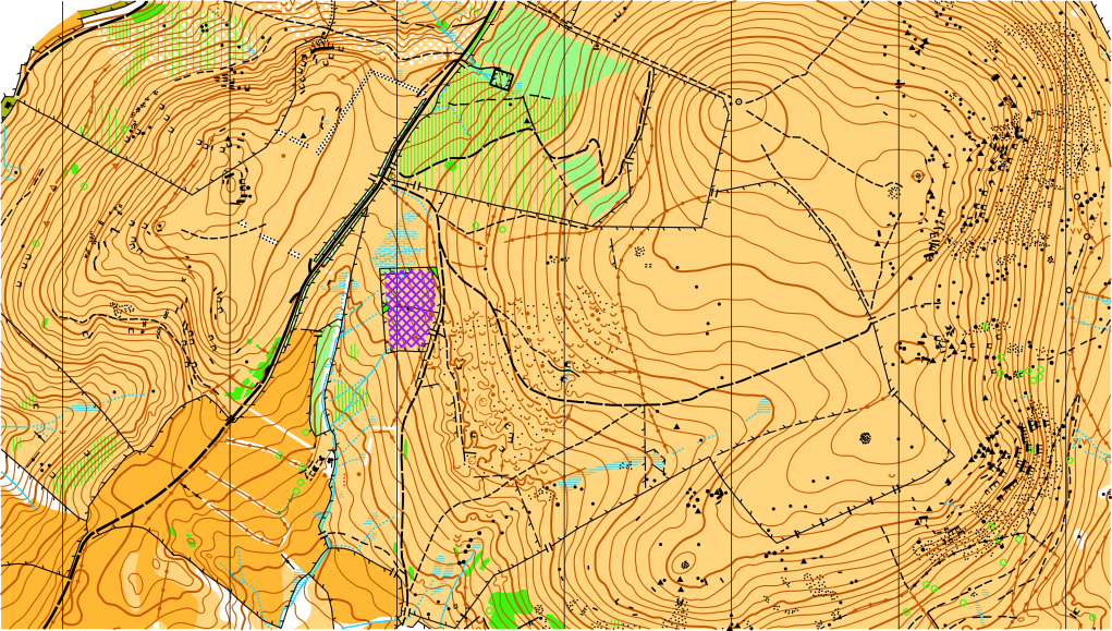Beginner | Better Orienteering
